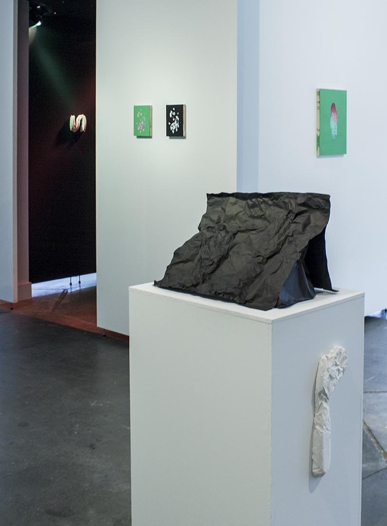 Angela Conant | Institute of Contemporary Art Baltimore